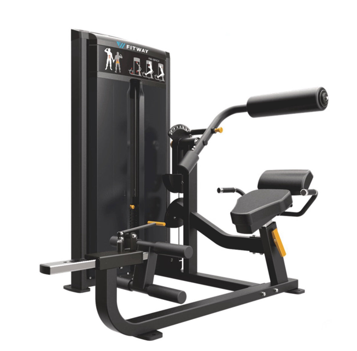 Core & Back Machines — Fitness Experience